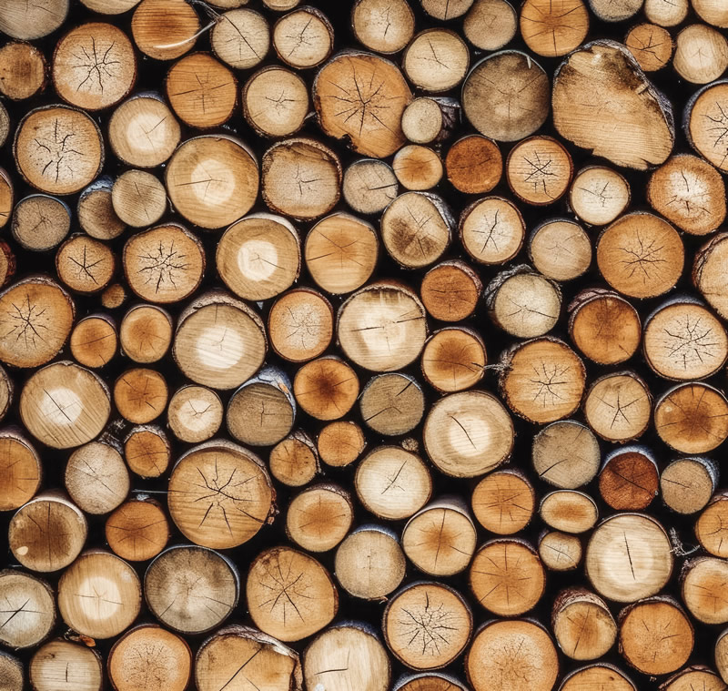 Backdrops | Photo Emporium Alaska - Premier Photo Booth Services